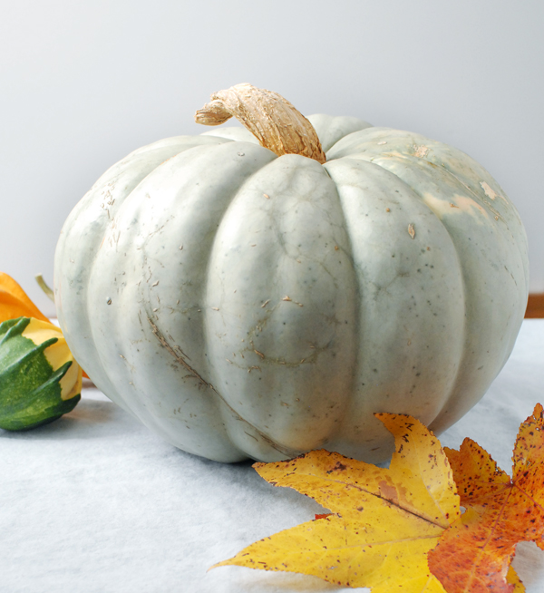 How to Roast a Pumpkin for Homemade Pumpkin Puree - Alisons Allspice